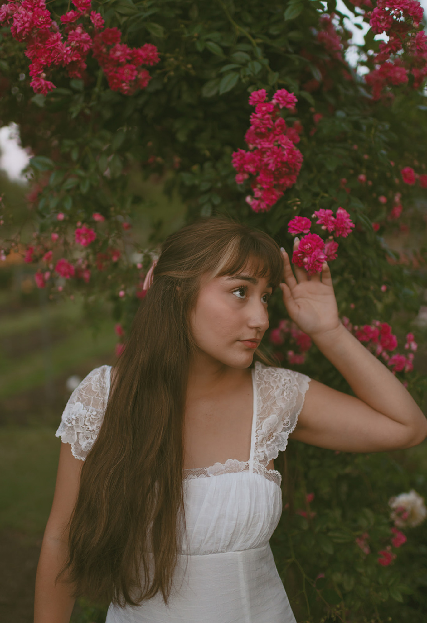 Oregon Session: Portland Rose Garden Senior Pictures - emilynoellephoto.com